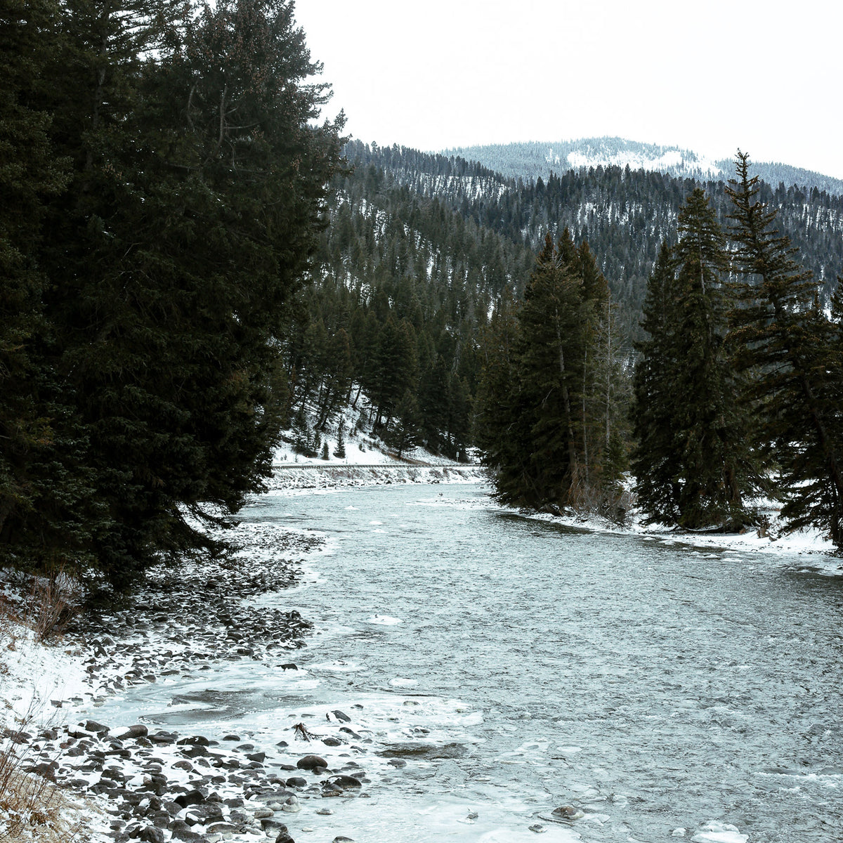 Big Sky – Blayne Art